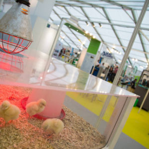 Visiter terres en fête - Terres en Fête