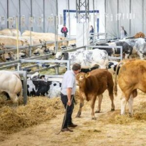 Visiter terres en fête - Terres en Fête
